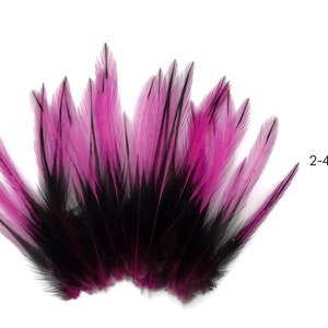 Fuchsia Laced Pointy Feathers, 10 Pieces - Hot Pink Dyed BLW Laced ...
