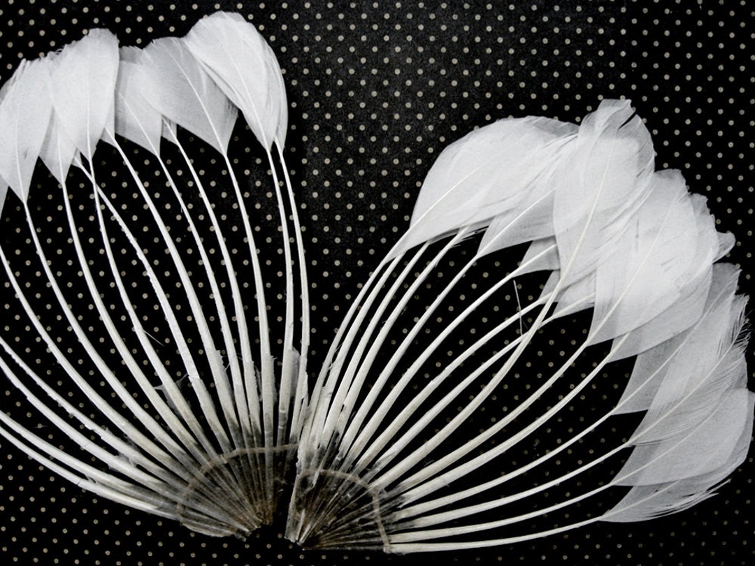 Feather Pad, 1 Piece - Bleached White Stripped Duck Cochette Center Fan ...