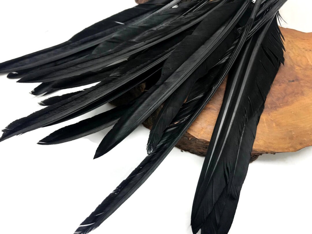 Wing Feathers, 1/4 Lb. - Black Goose Pointers Long Primaries Wing ...
