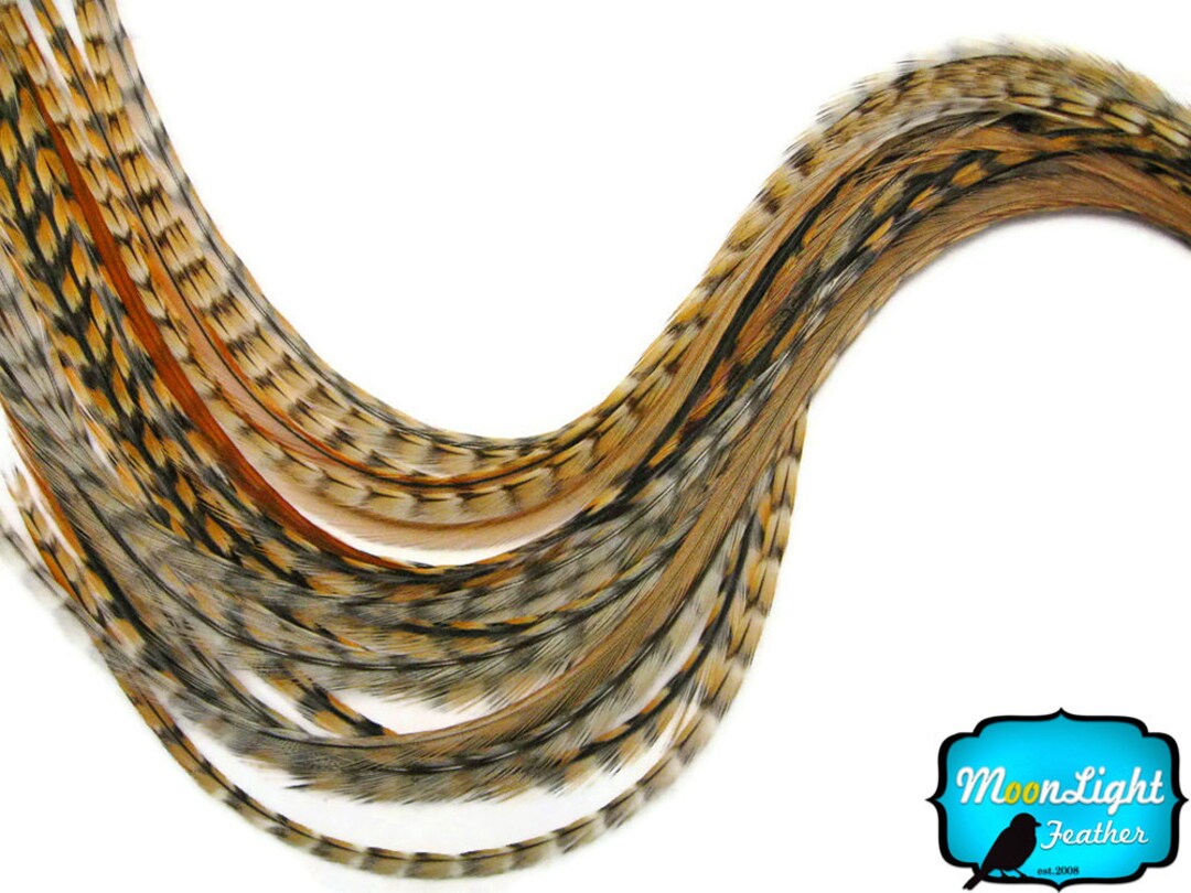 Salon Hair Feathers, 1 Pieces - CREE Grizzly Thin Long Rooster Feather ...