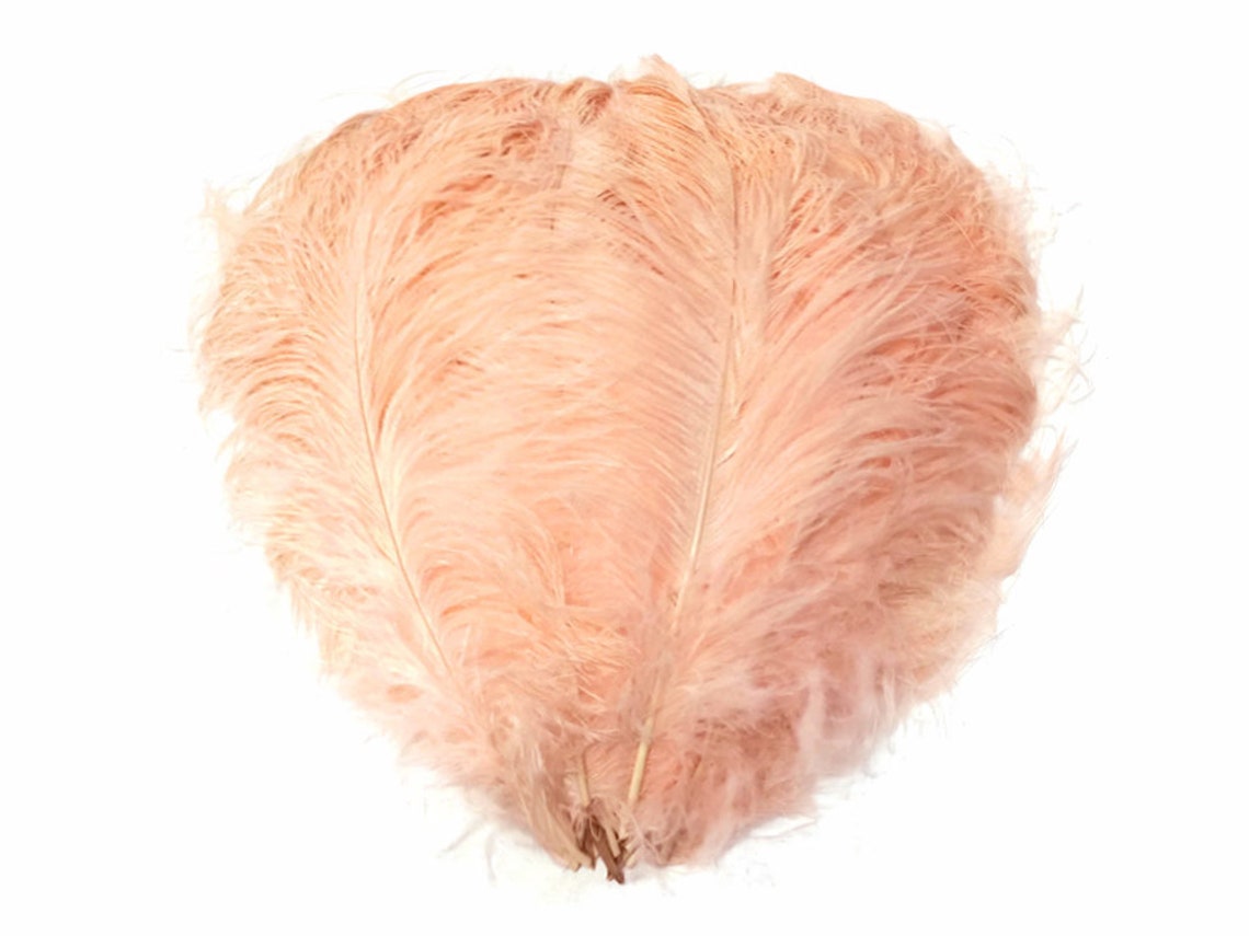 Huge Wedding Feathers 10 Pieces 18-24 Champagne Large - Etsy