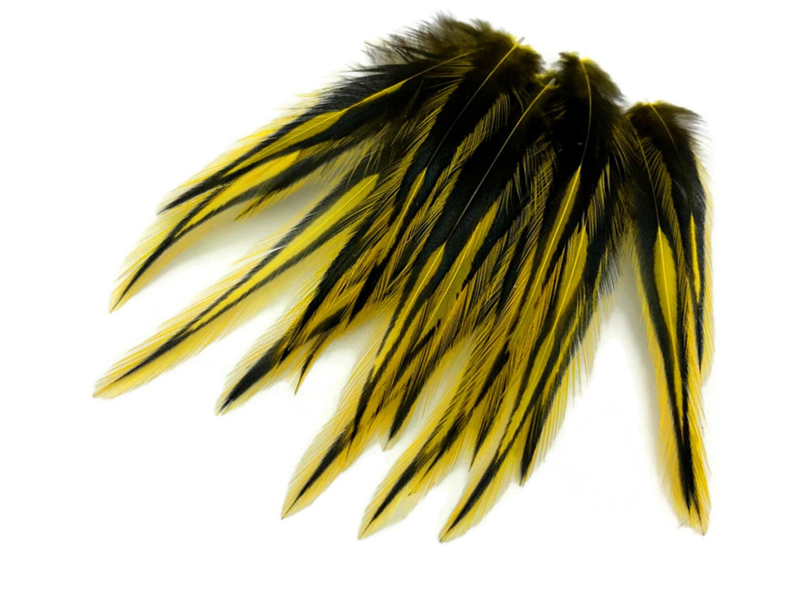 Rooster Feathers 10 Pieces Sunshine Yellow Dyed BLW Laced - Etsy