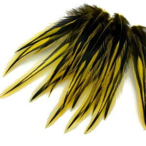 Rooster Feathers, 10 Pieces - Sunshine Yellow Dyed BLW Laced Short ...