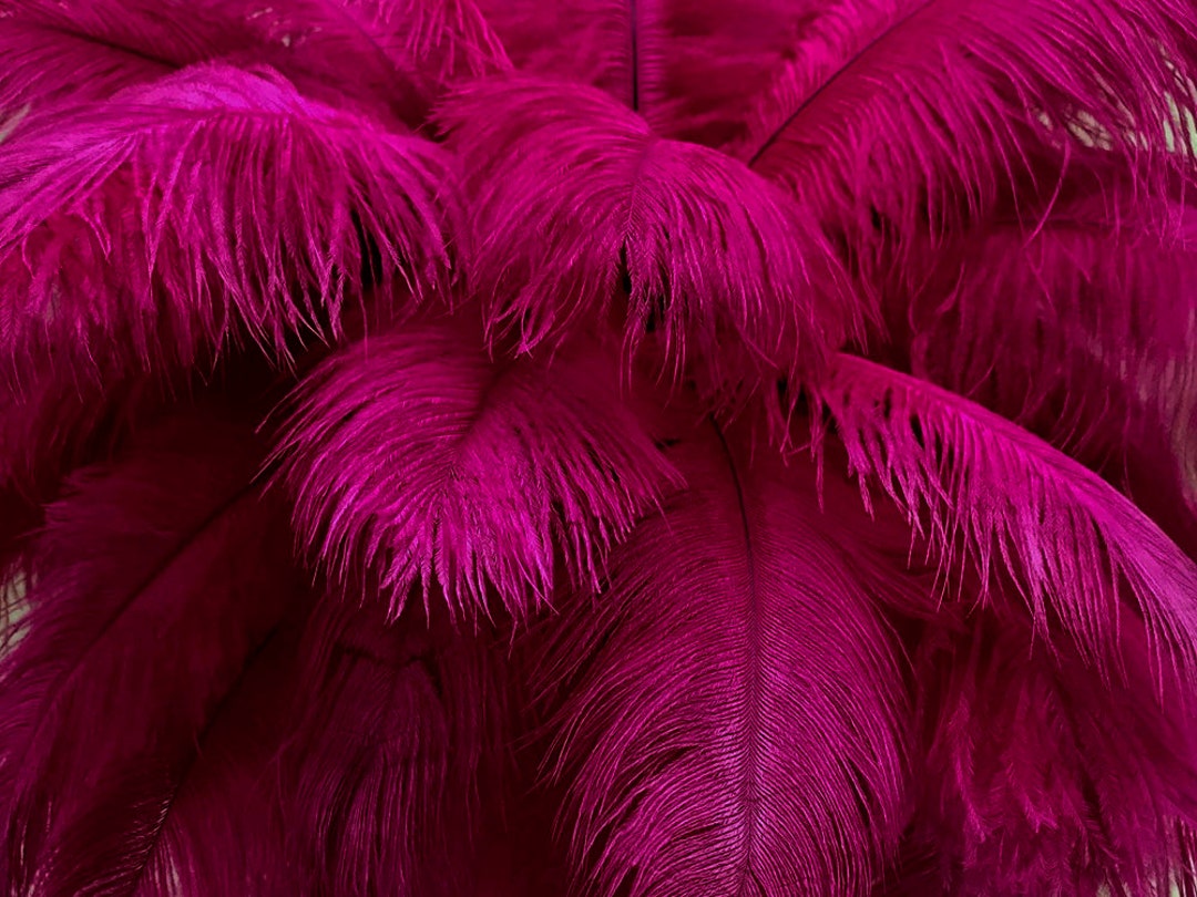 USA Feathers, 10 Pieces - 14-17" Magenta Ostrich Dyed Drab Large Body ...