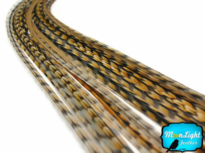 Salon Hair Feathers, 1 Pieces - CREE Grizzly Thin Long Rooster Feather ...