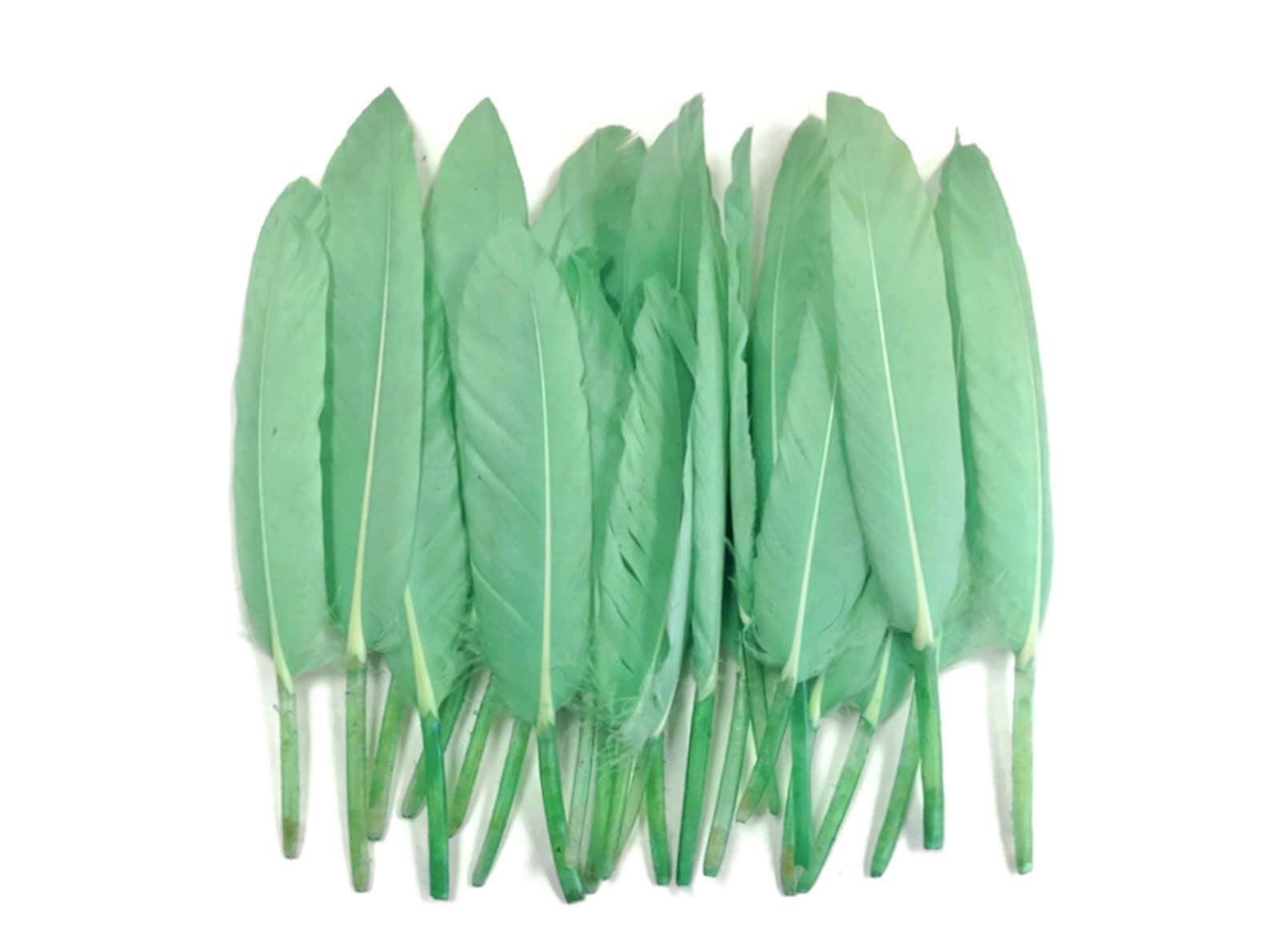 Duck Feathers, 1 Pack - Aqua Green Duck Cochettes Loose Feathers 0.30 ...