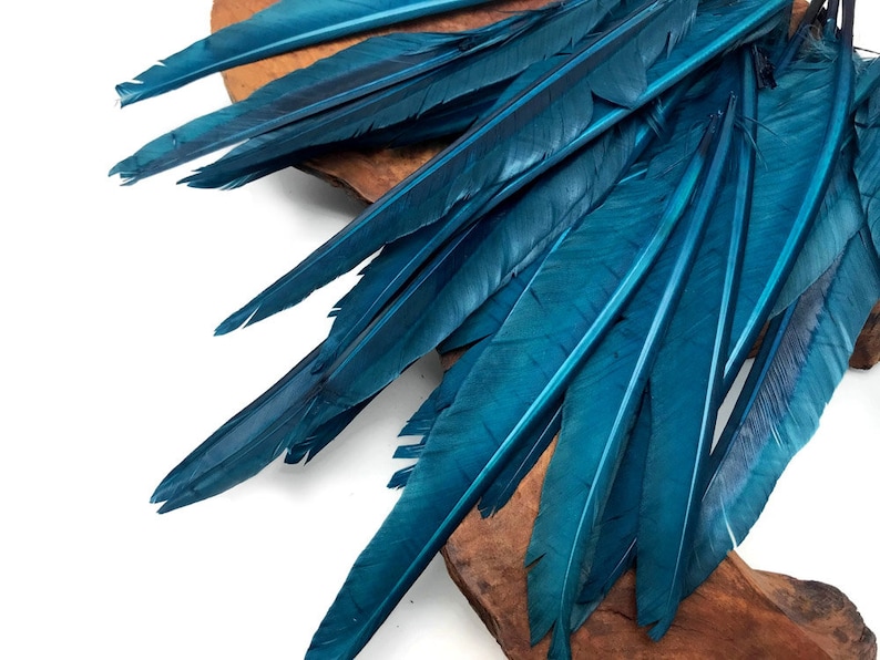 Duck Feathers, 1/4 Lb. - Dyed Teal Blue Duck Pointer Primary Wing ...