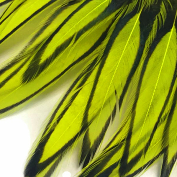 Feather Cape - Etsy