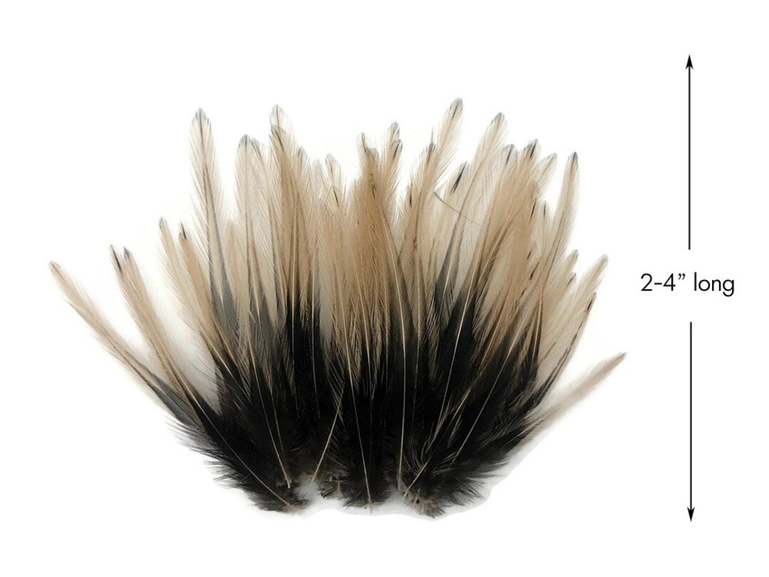 Fuchsia Laced Pointy Feathers, 10 Pieces - Tan Dyed BLW Laced Short ...