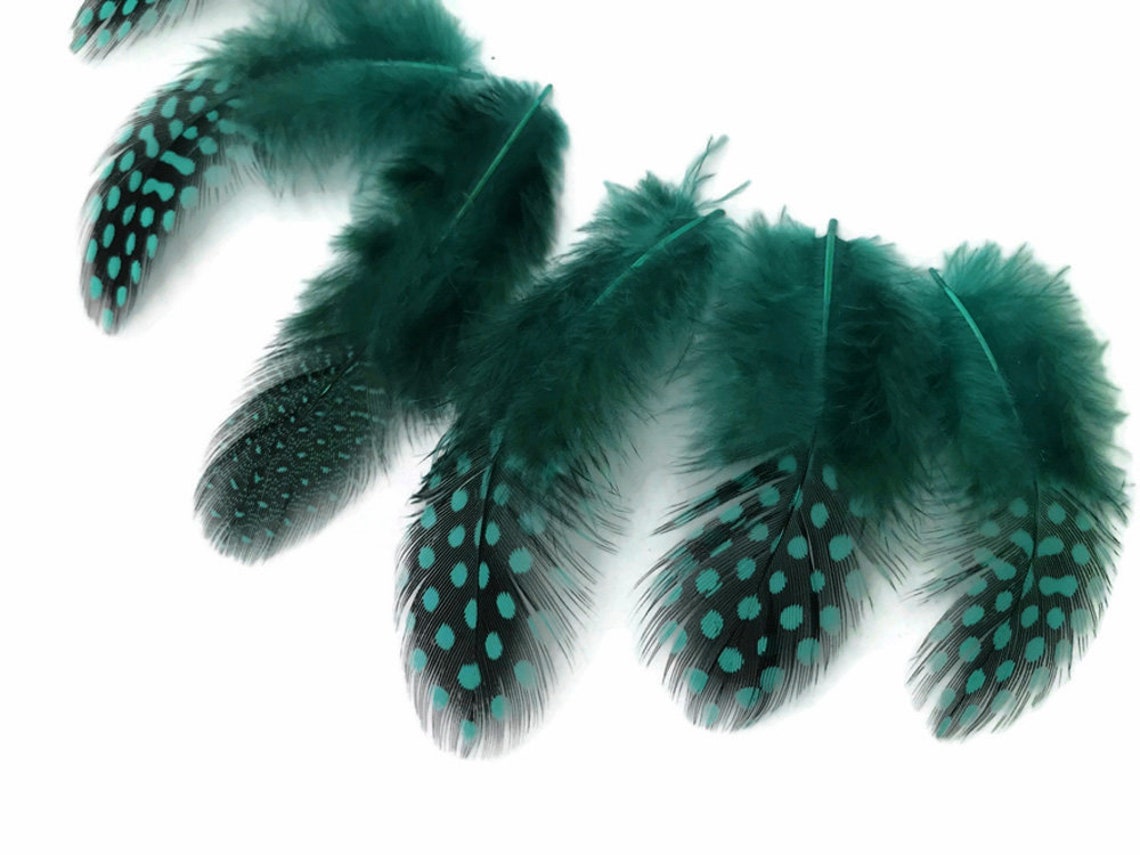Polka Dot Feathers 1/4 Lb Peacock Blue Guinea Hen Plumage | Etsy