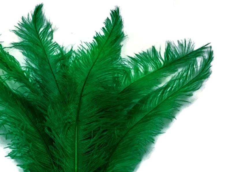 Large Feathers, 1/2 Lb - 20-28" Emerald Green Ostrich Large Spads ...