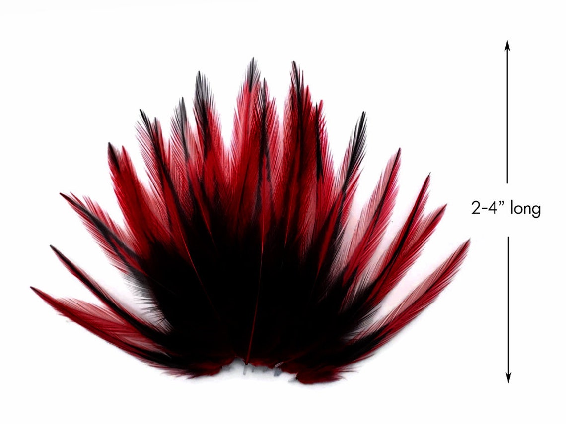 Red Laced Pointy Feathers, 10 Pieces - Claret Dyed BLW Laced Short ...