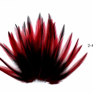 Red Laced Pointy Feathers, 10 Pieces - Claret Dyed BLW Laced Short ...
