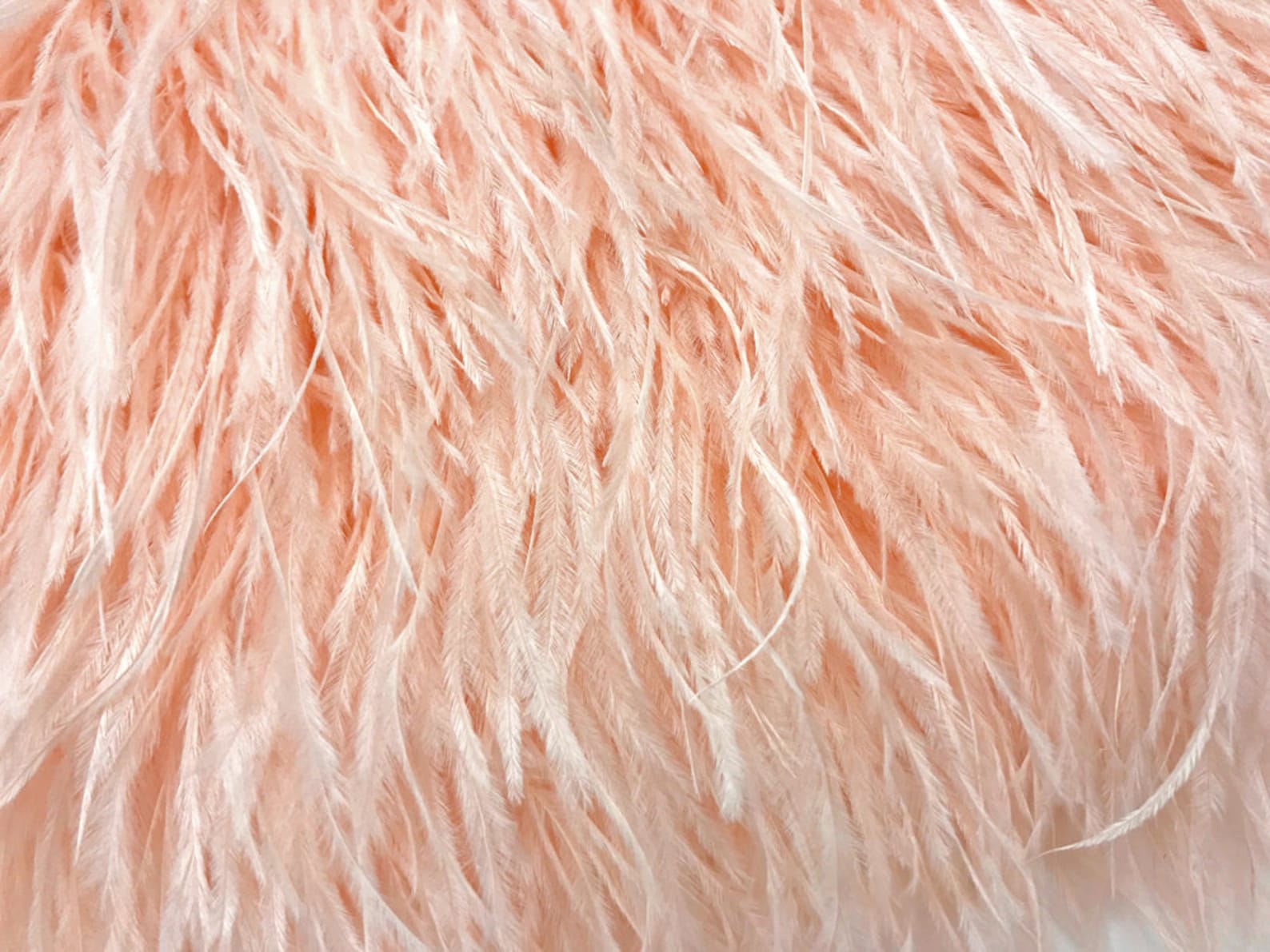 Champagne Ostrich Feathers 6 Inch Strip Champagne Ostrich | Etsy