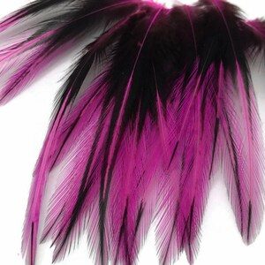 Fuchsia Laced Pointy Feathers, 10 Pieces - Hot Pink Dyed BLW Laced ...