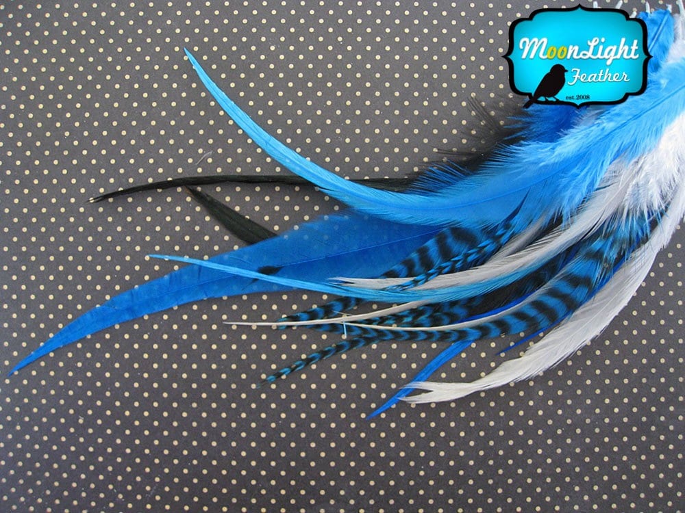 Rooster Feathers 2 Dozen Short BLUE MIX Grizzly Rooster - Etsy
