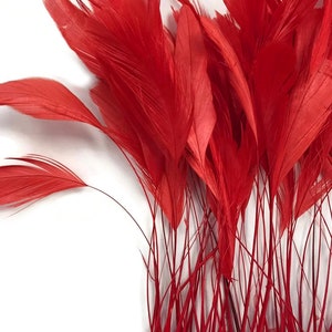Stripped Feathers, 1 Dozen - Red Stripped Rooster Coque Tail Feathers ...