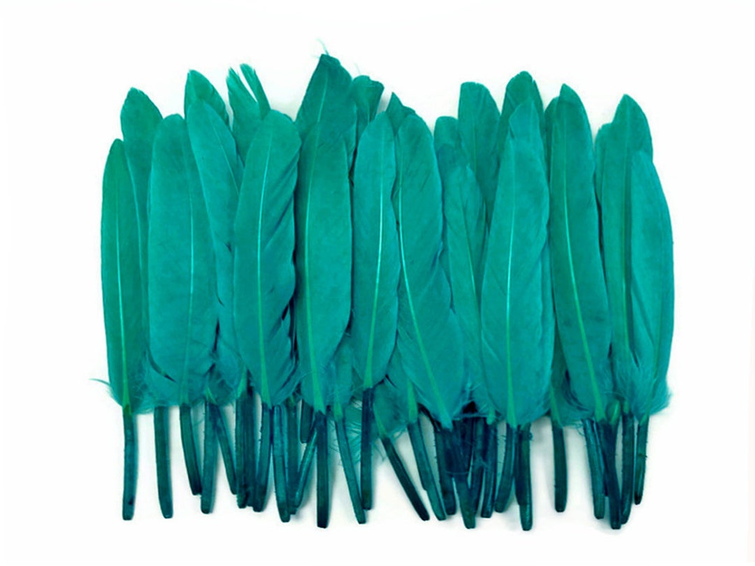 Duck Feathers, 1 Pack - Peacock Green Duck Cochettes Loose Feathers 0. ...