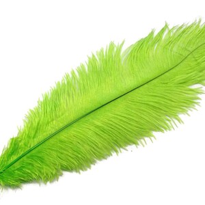 Ostrich Feathers, 10 Pieces - 8-10" Lime Green Ostrich Dyed Drabs ...