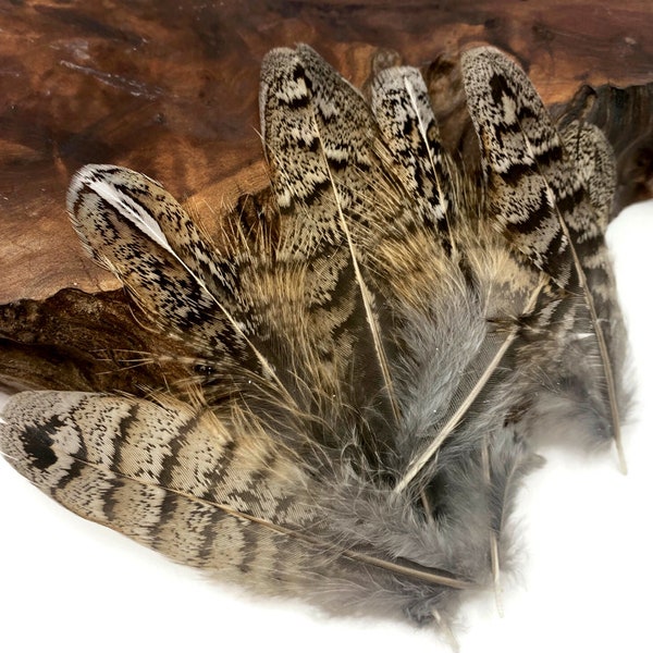 Grouse Feathers - Etsy