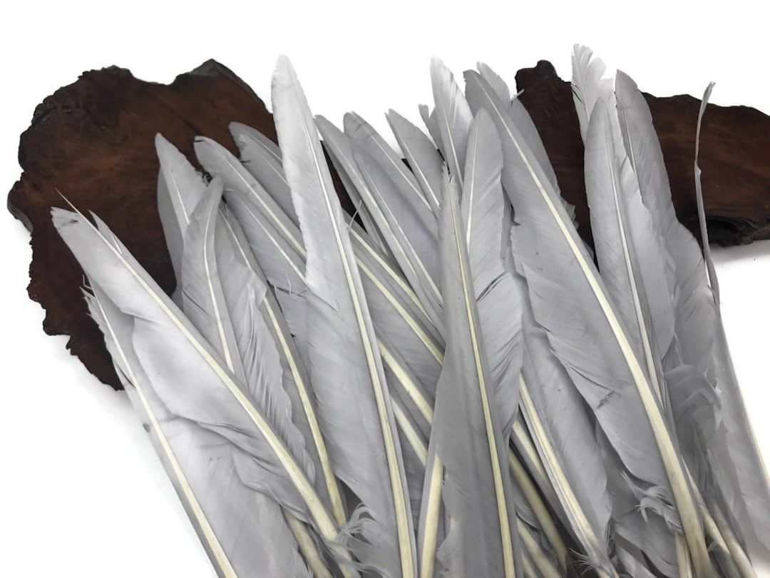 Wing Feathers, 1/4 Lb. - Silver Gray Goose Pointers Long Primaries Wing ...