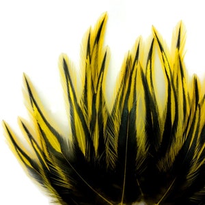 Rooster Feathers, 10 Pieces - Sunshine Yellow Dyed BLW Laced Short ...