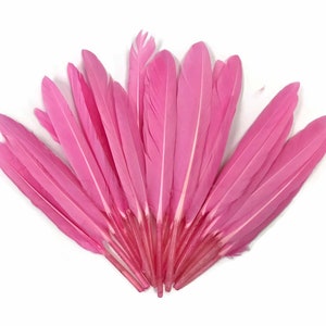 Duck Feathers, 1 Pack - Candy Pink Duck Cochettes Loose Feathers 0.30 ...