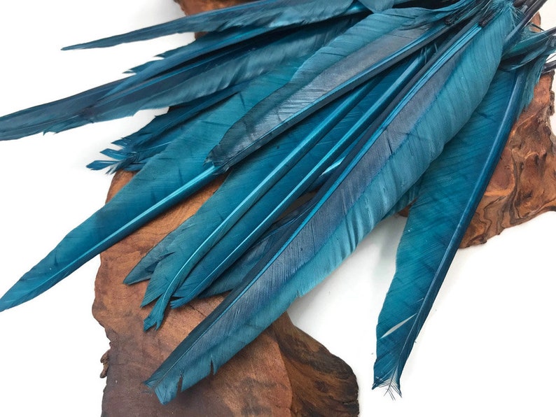 Duck Feathers, 1/4 Lb. - Dyed Teal Blue Duck Pointer Primary Wing ...