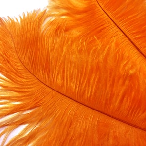 200 Feathers - 9-13" Orange Ostrich Drab Body Plumage Wholesale ...