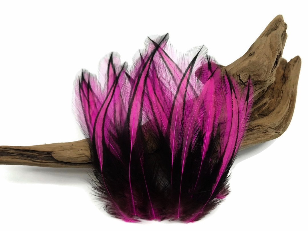 Fuchsia Laced Pointy Feathers, 10 Pieces - Hot Pink Dyed BLW Laced Long ...