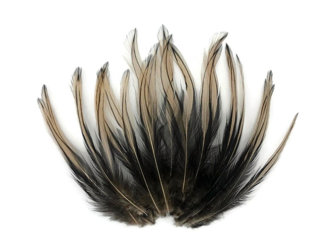 Tan Laced Pointy Feathers, 10 Pieces - Tan Dyed BLW Laced Long Rooster ...