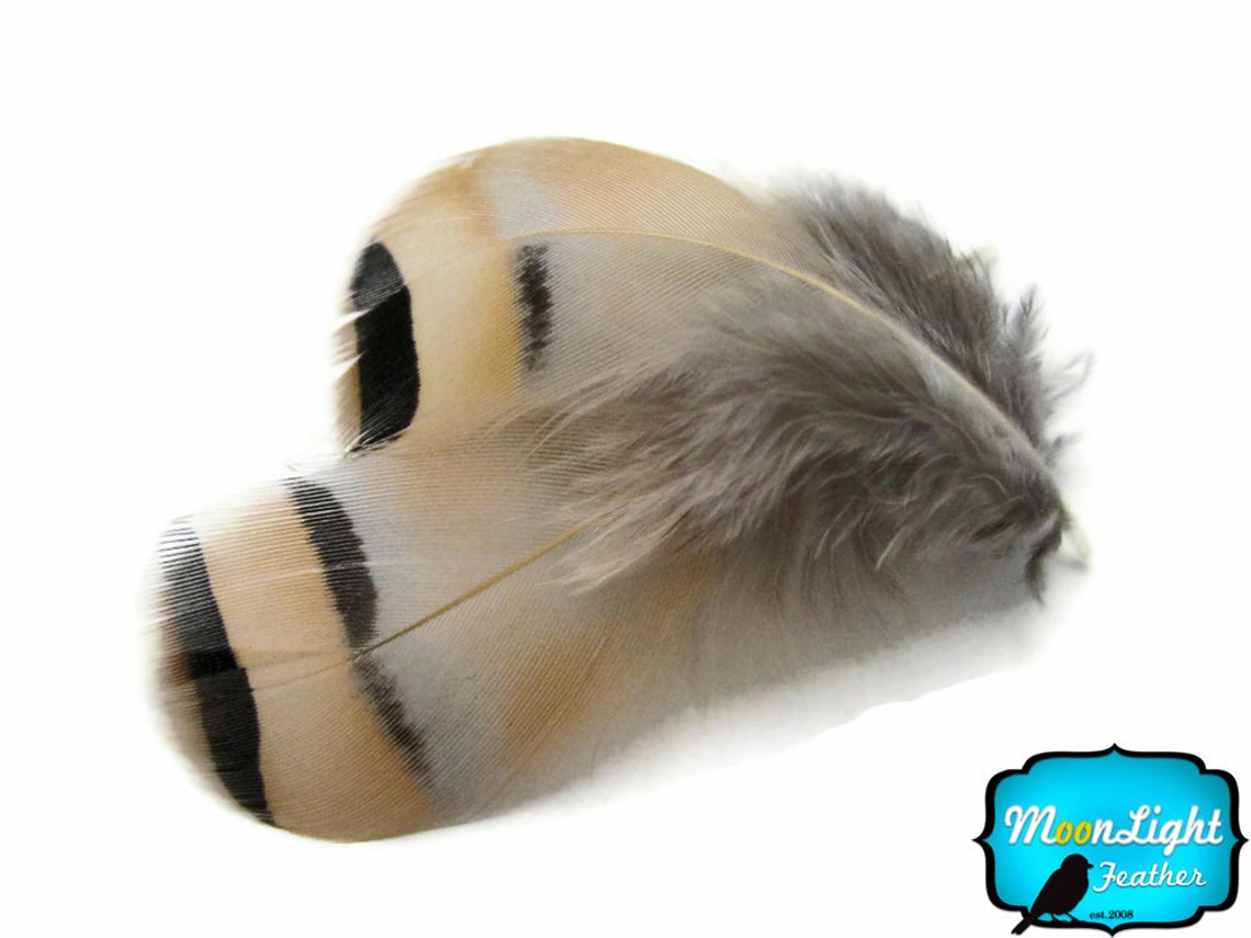 Chukar Feathers, 1 Pack - NATURAL CHUKAR PARTRIDGE Hen Feather 0.10 Oz ...