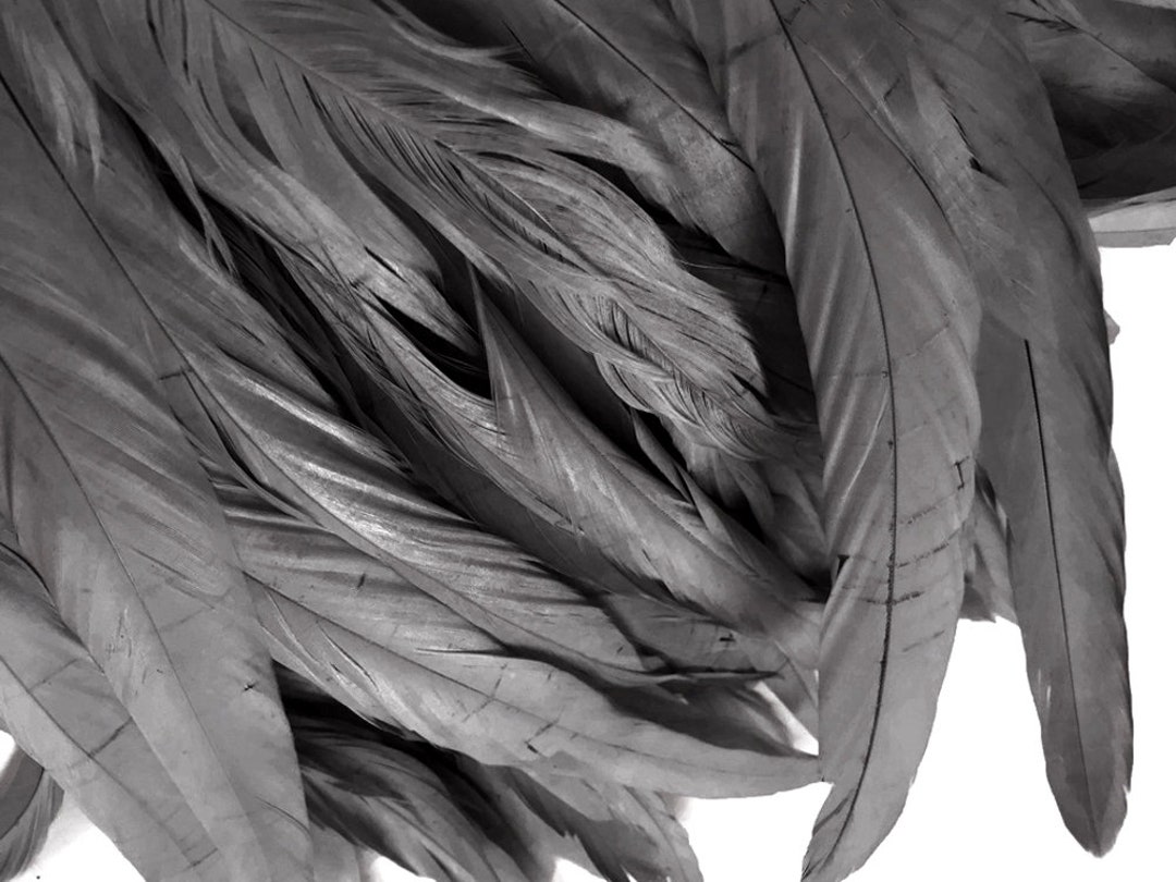 Rooster Tail Feathers, 1 Yard - 10-12" Silver Gray Bleach and Dyed ...