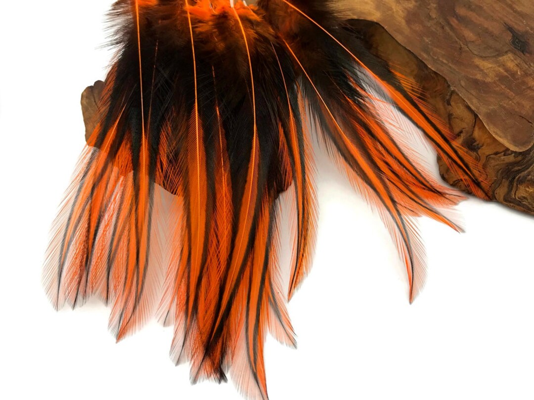 Laced Pointy Feathers, 10 Pieces - Orange Dyed BLW Laced Long Rooster ...