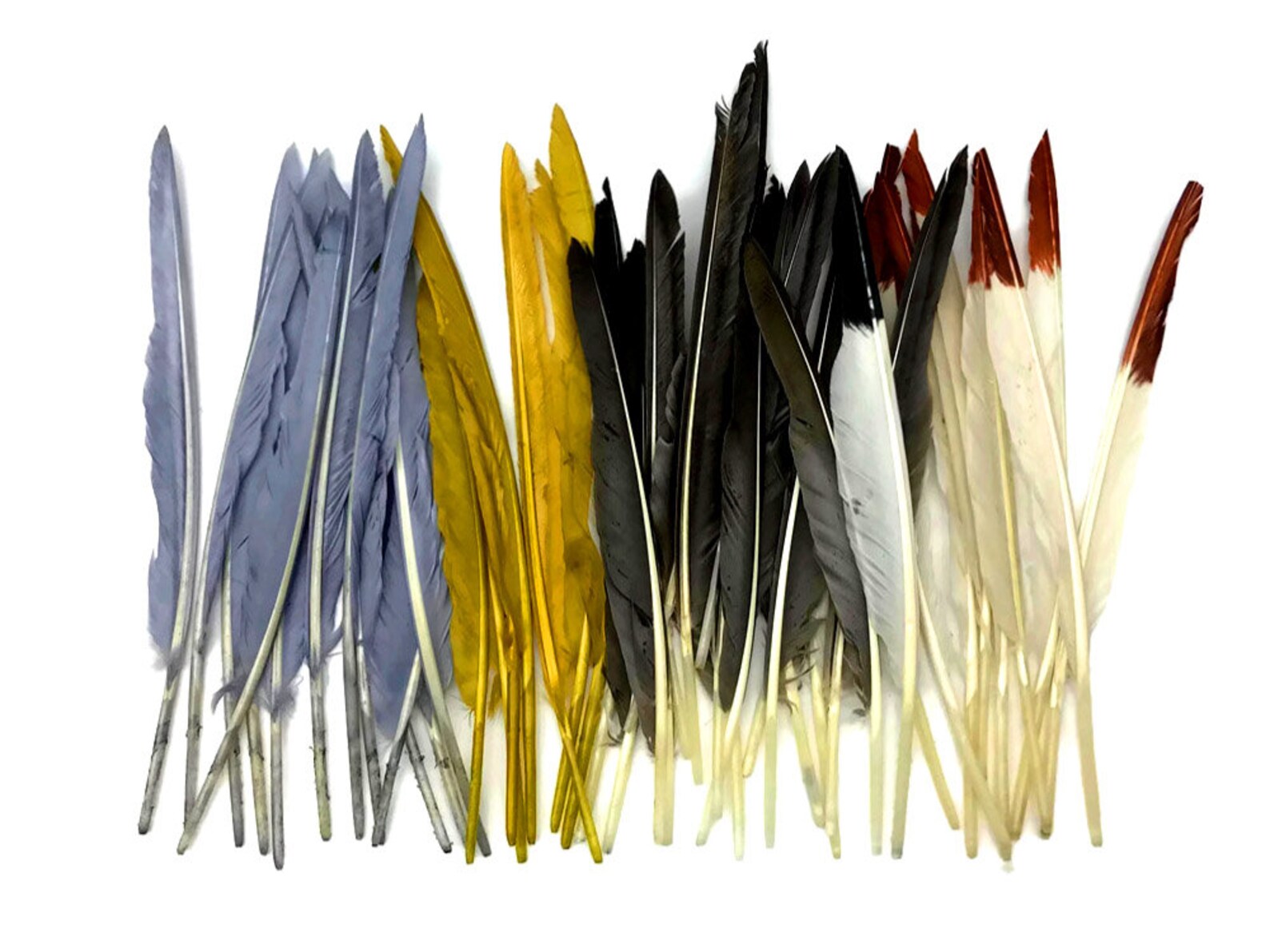 Goose Feathers 1/4 Lb. Red Goose Pointers Long Primaries - Etsy