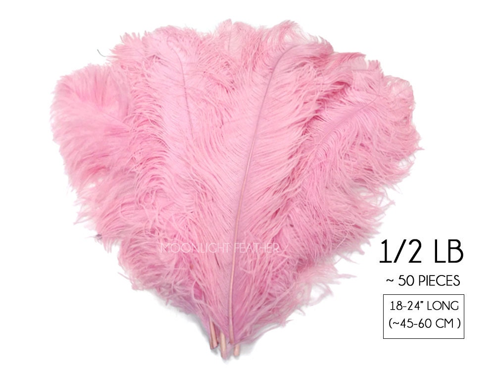 Huge Wedding Feathers 1/2 Lb. 18-24 Baby Pink Large | Etsy