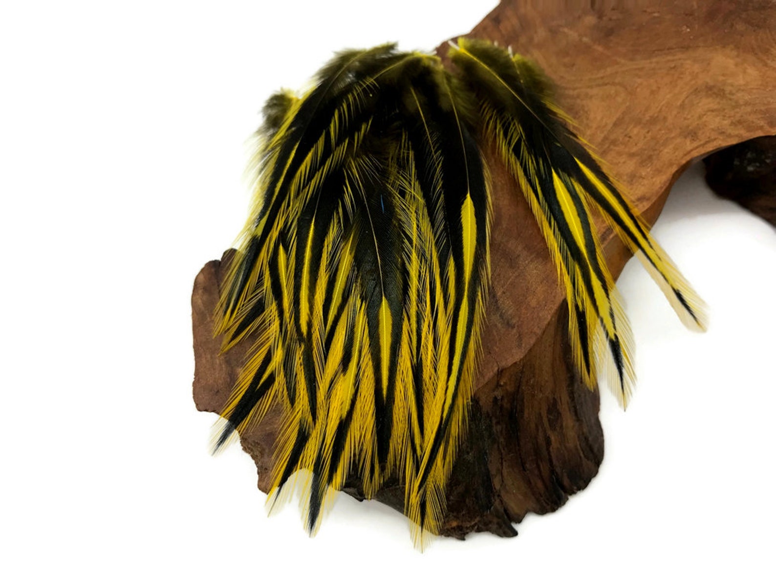 Rooster Feathers, 10 Pieces - Sunshine Yellow Dyed BLW Laced Short ...