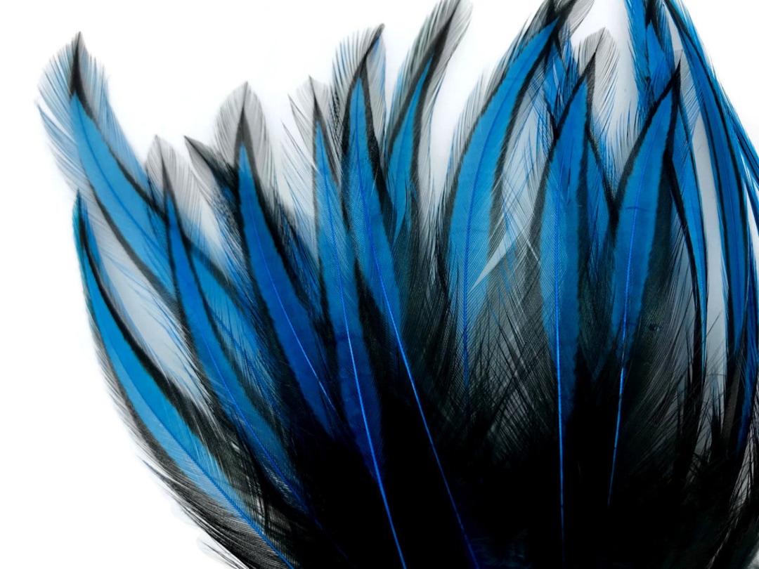 Blue Laced Feathers, 10 Pieces - Kingfisher Blue Dyed BLW Laced Long ...