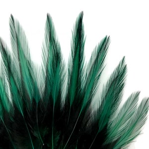 Raindrop Feathers, 10 Pieces - Peacock Green Dyed BLW Laced Short ...