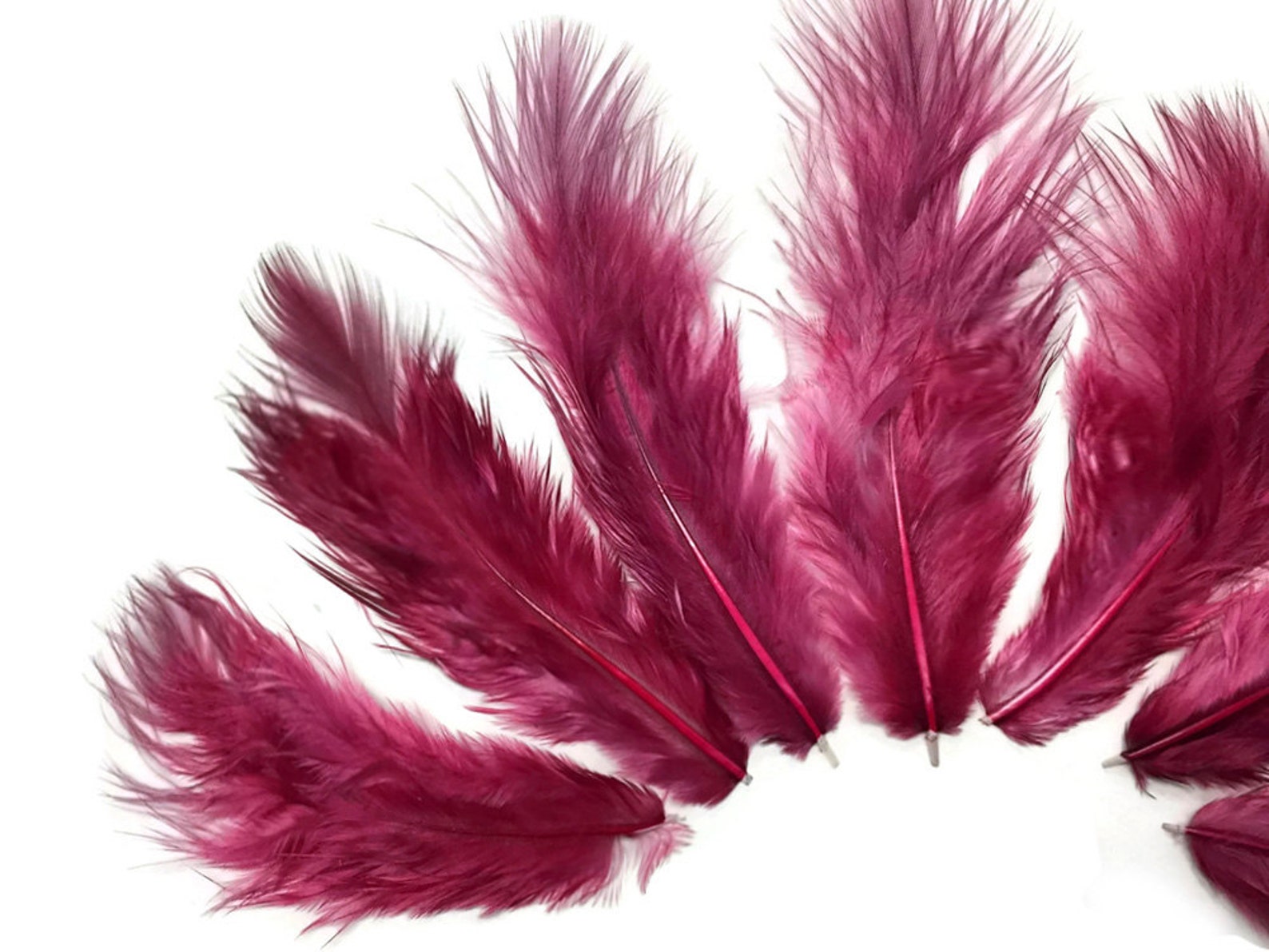 Fluffy Feathers 1 Dozen Solid Claret Rooster Chickabou - Etsy