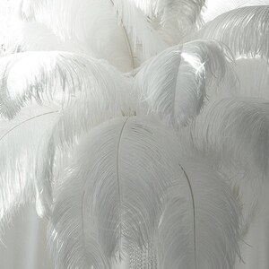 Large Feathers, 10 Pieces - 18-24" White Prime Grade Large Ostrich Wing ...