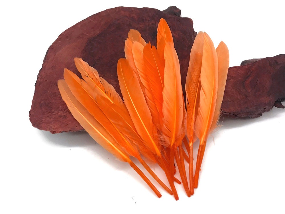 Duck Feathers, 1 Pack - Orange Duck Cochettes Loose Feathers 0.30 Oz ...