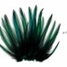 Raindrop Feathers, 10 Pieces - Peacock Green Dyed BLW Laced Short ...