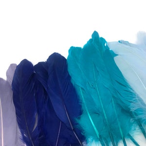 Goose Feathers, 1 Pack - Brown Goose Satinettes Loose Wing Quill ...