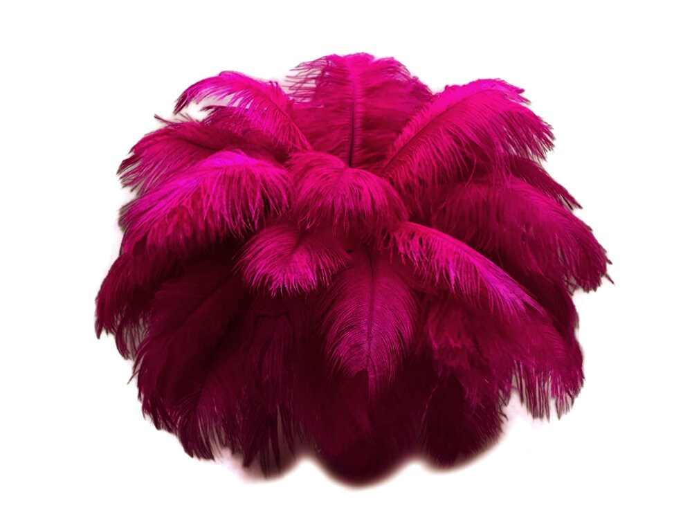 USA Feathers, 10 Pieces - 14-17" Magenta Ostrich Dyed Drab Large Body ...