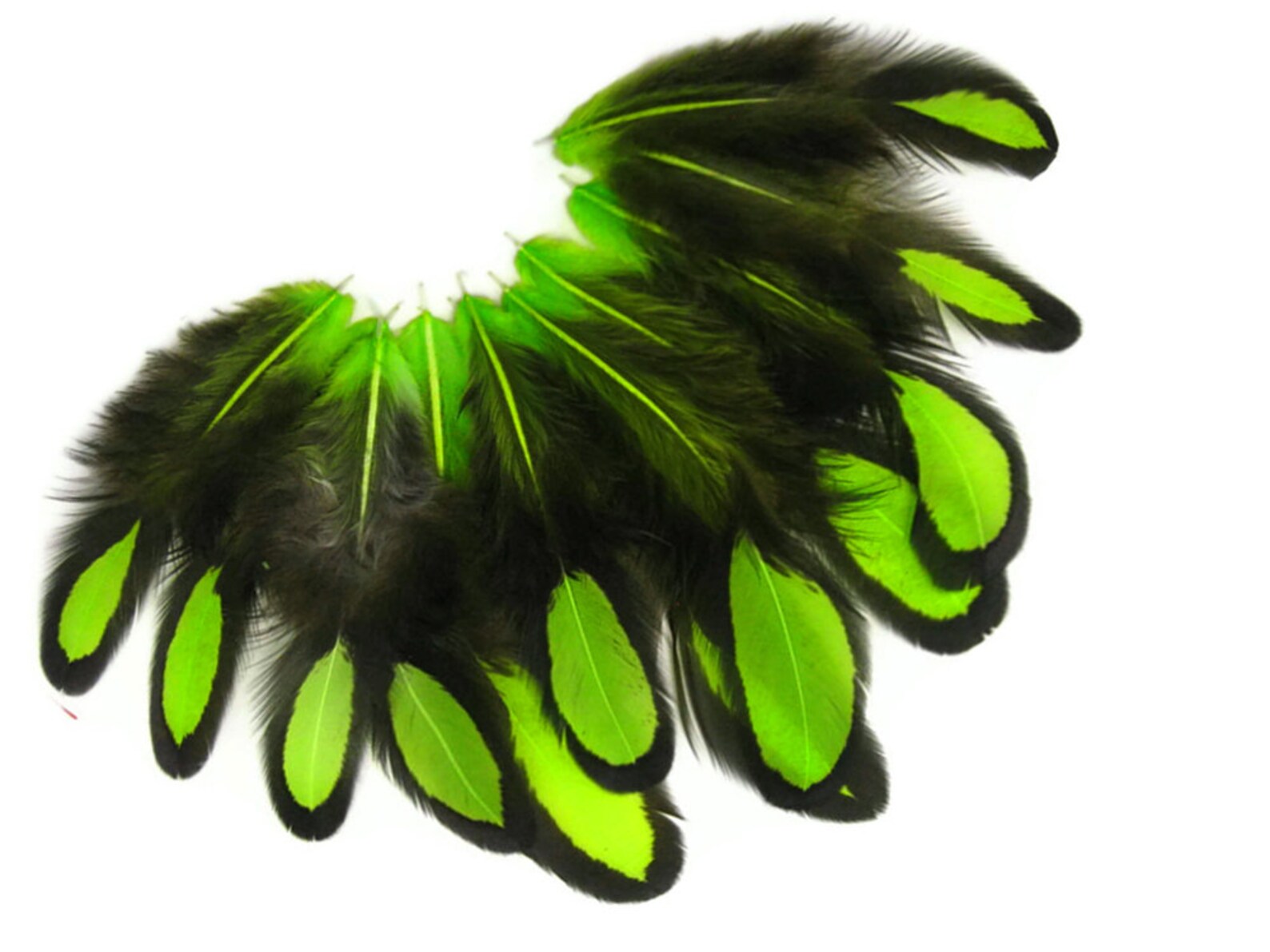 Laced Feathers, 1 Dozen - Lime Green Whiting Farms Laced Hen BLW Saddle ...