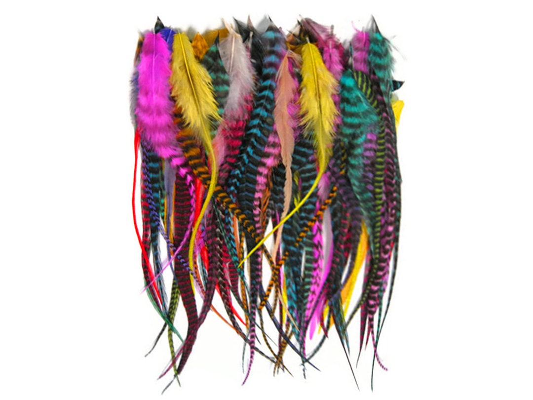 50 Pieces - Colorful Thick Long Rooster Saddle Whiting Farm Hair ...