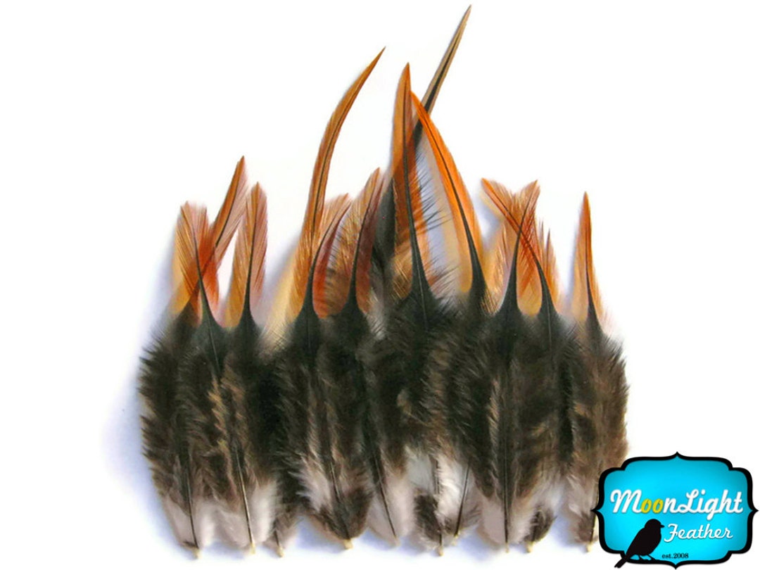 Rooster Feathers, 12 Pieces - Furnace Short Rooster Hackle Hair ...