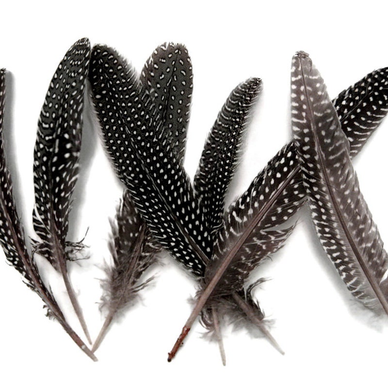 Black Wing Fly Tying - Etsy