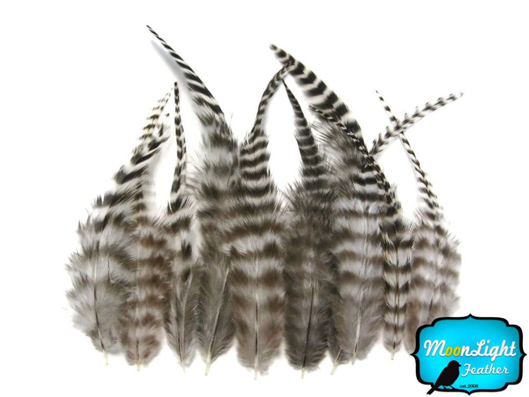Hair Feathers, 1 Dozen - SHORT NATURAL Grizzly Rooster Hair Extension ...